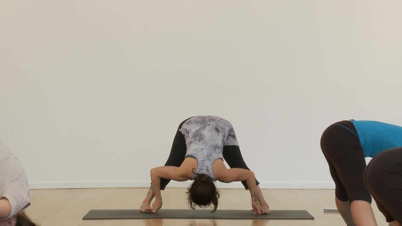 Samasthiti Integrity for Beginners